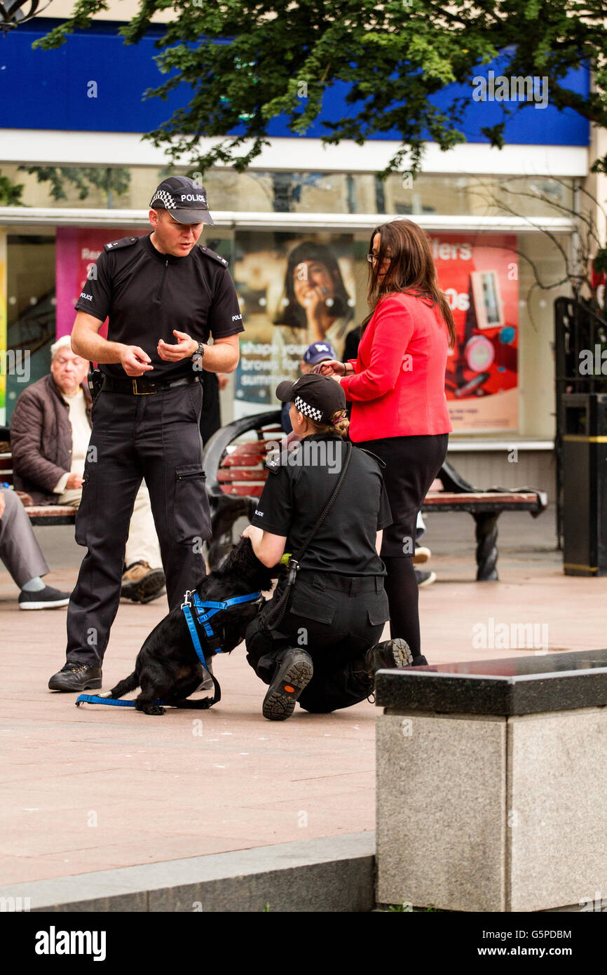 Police dog handler scotland hi-res stock photography and images - Alamy