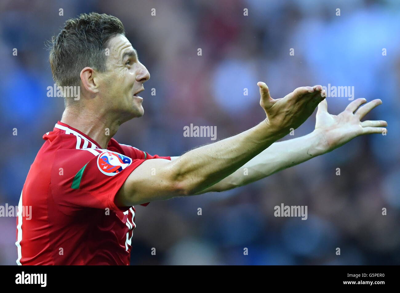 Lyon, France. 22nd June, 2016. Hungary's Zoltan Gera (L) celebrates ...