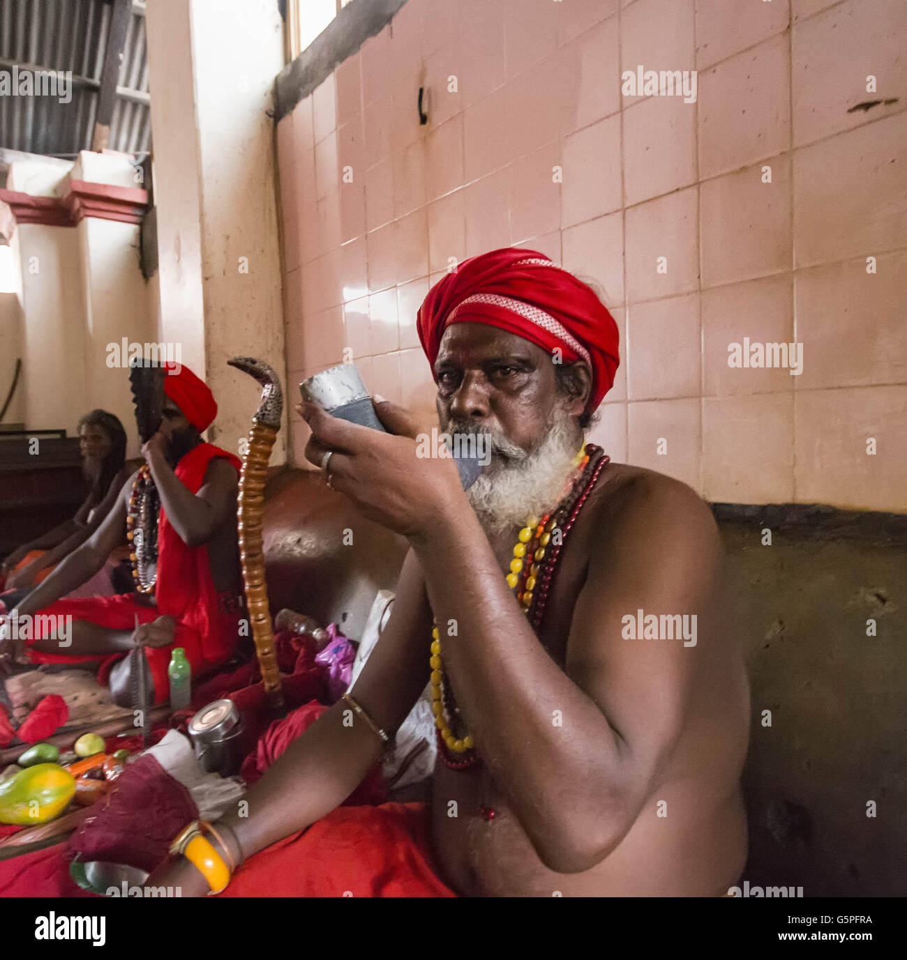 Mithuna hi-res stock photography and images - Alamy