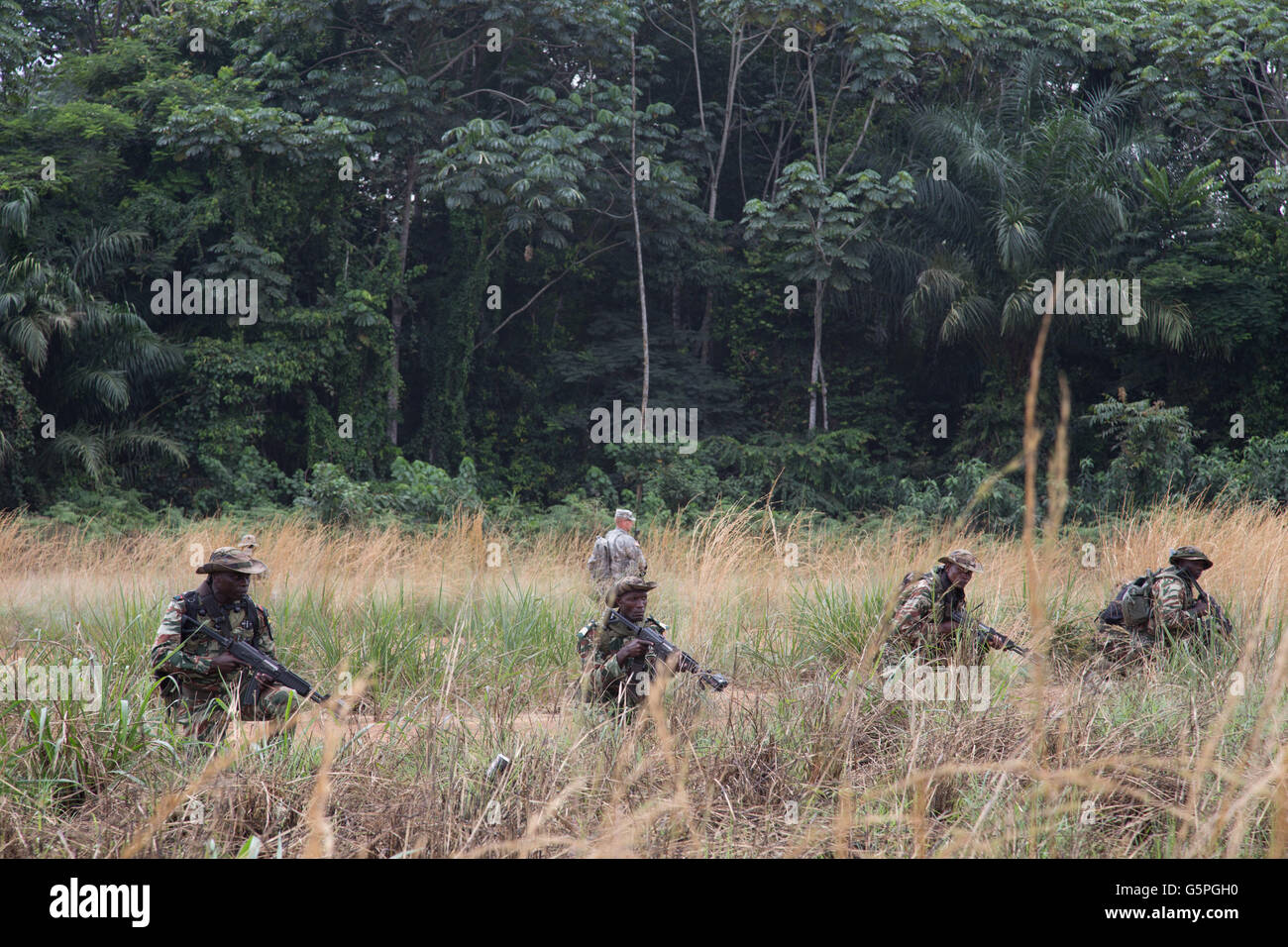 Cameroon Army High Resolution Stock Photography and Images - Alamy
