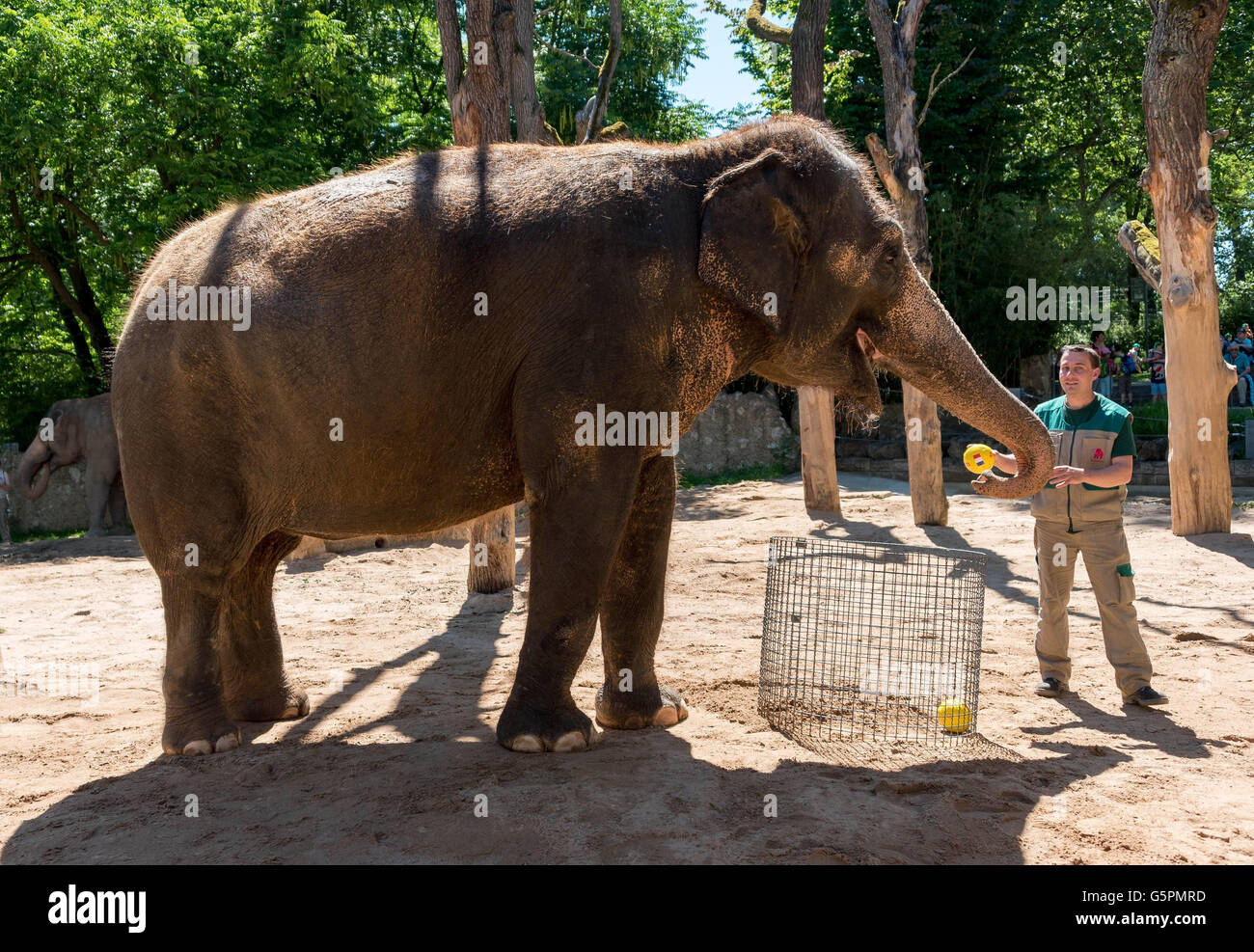 2016 uefa winner hi-res stock photography and images - Alamy