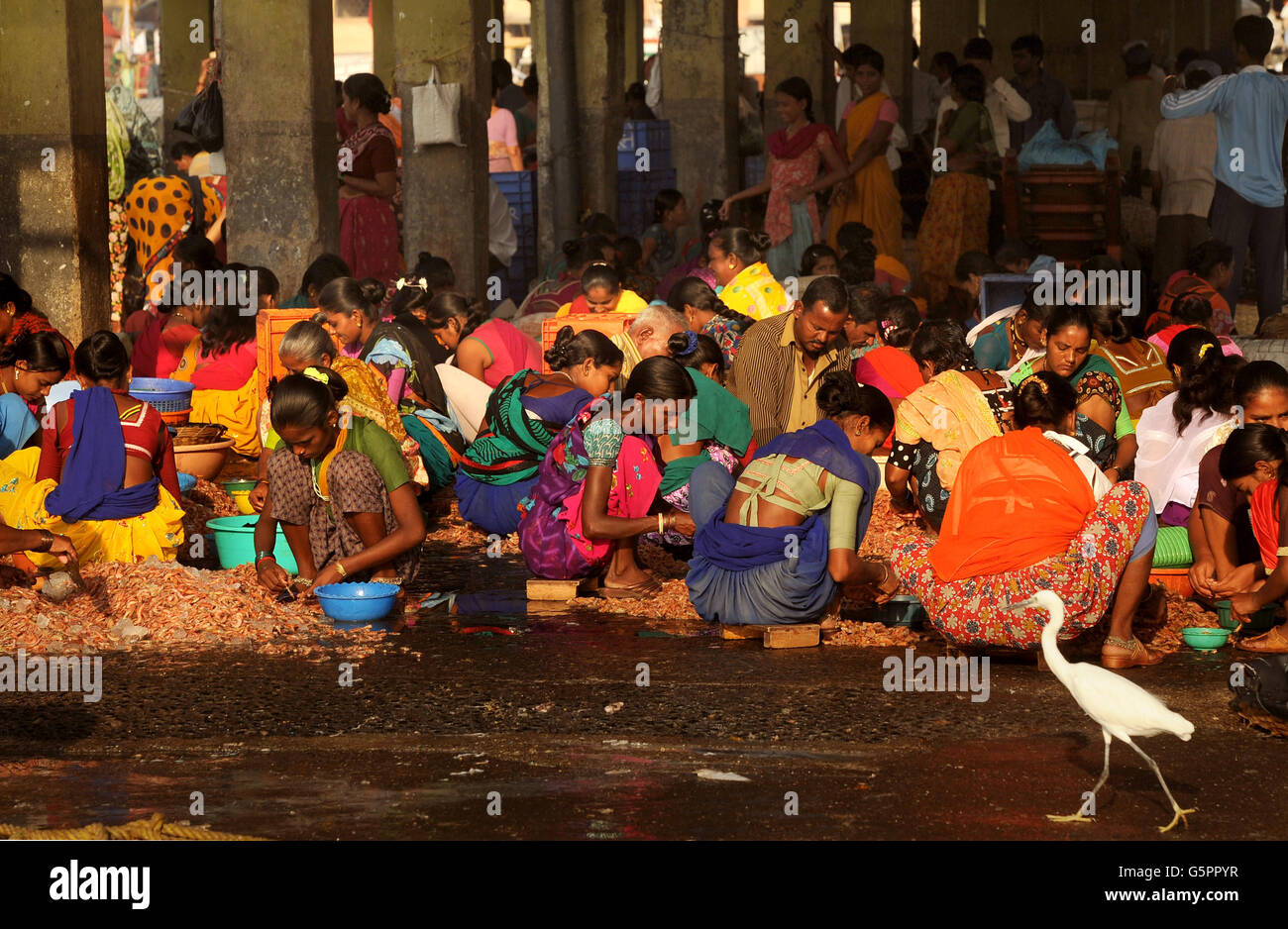 Anthony devlin photography hi-res stock photography and images - Alamy