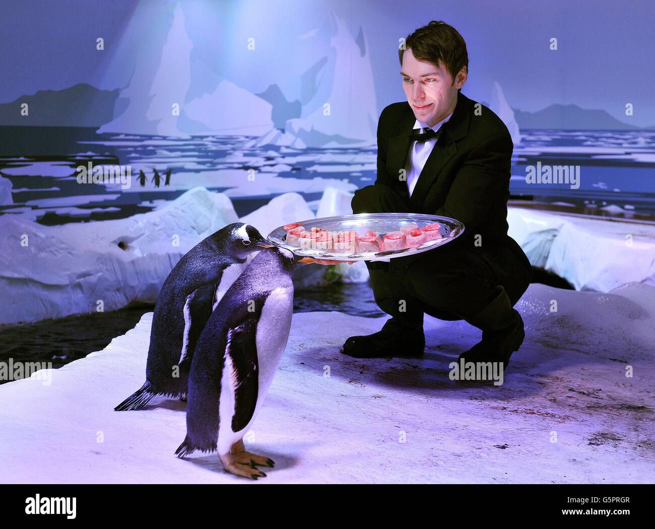 Fishmas hi-res stock photography and images - Alamy