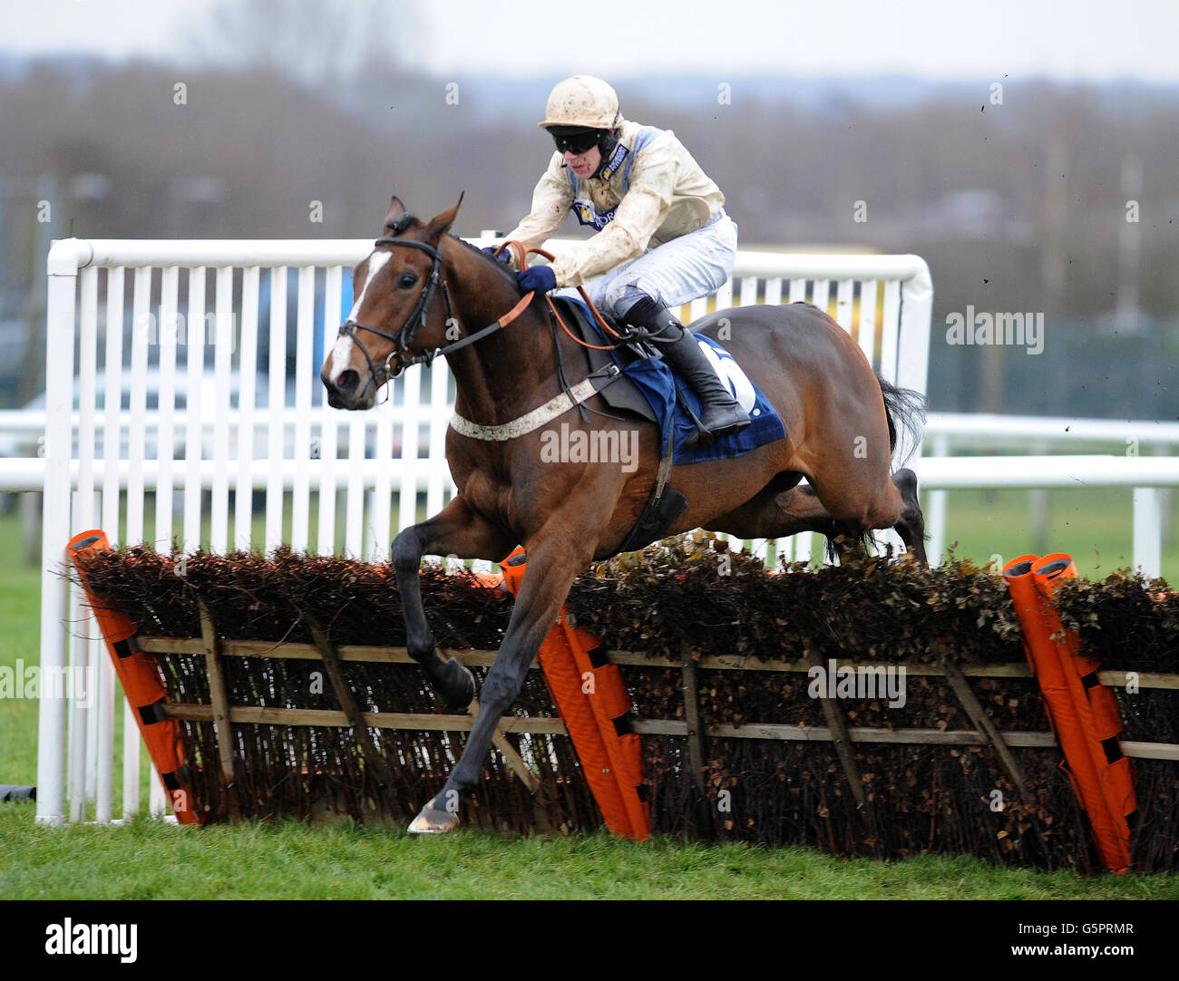 Hurdle christmas raceday newbury racecourse hi-res stock photography ...