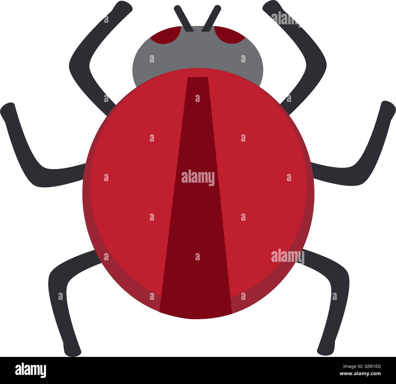 red round bug Stock Vector Image & Art - Alamy