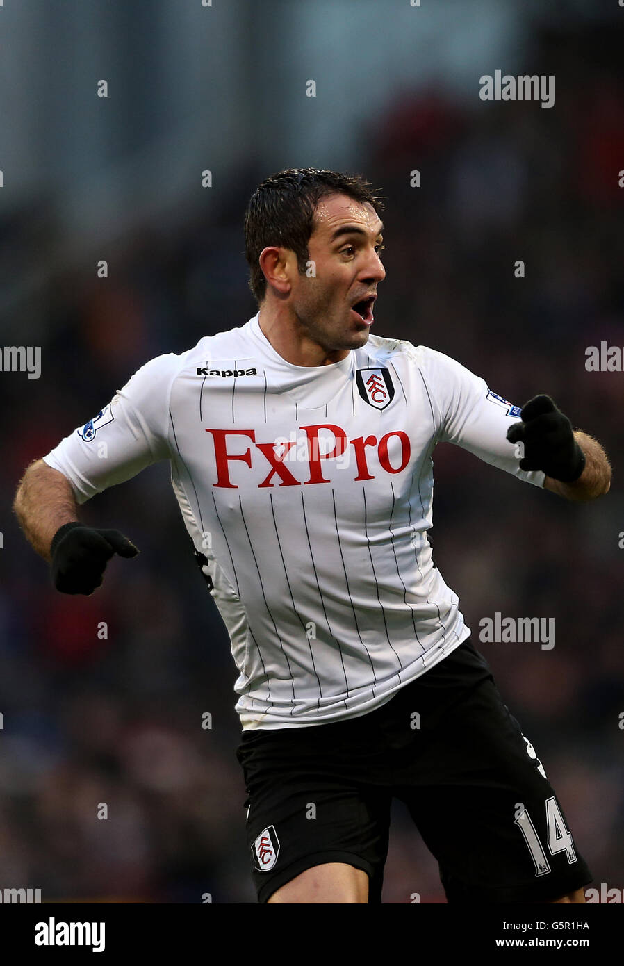Fulham's Giorgos Karagounis celebrates scoring his sides first goal ...