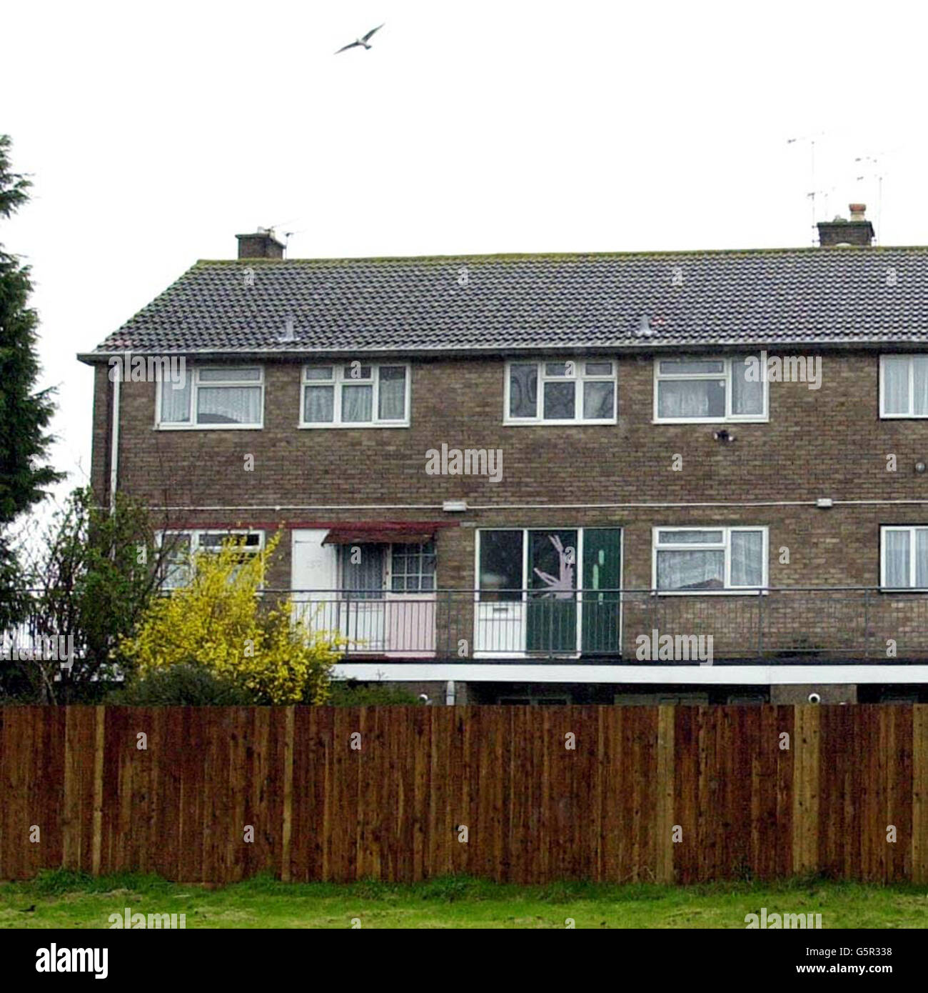 Robert White Estate Stock Photo - Alamy