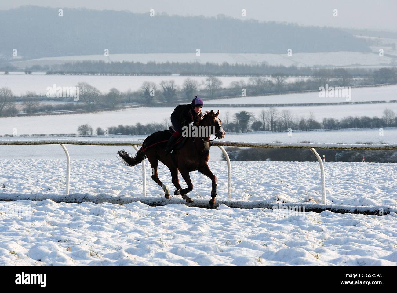 Horse racing gallops at malton hi-res stock photography and images - Alamy