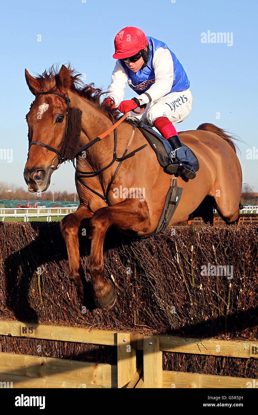 Toby Belch ridden by Robert Thornton runs in the Pegler Yorkshire ...