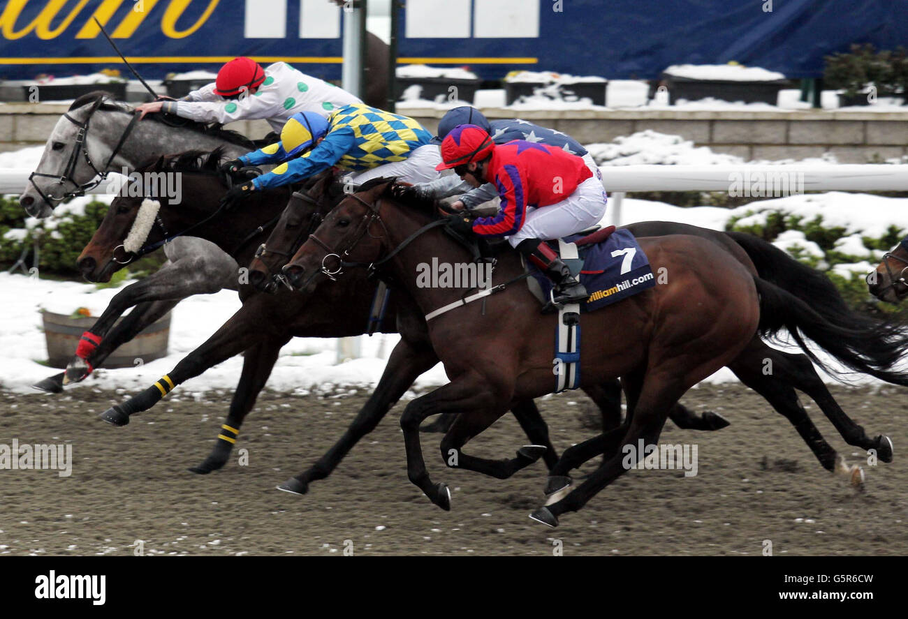 Toga tiger hi-res stock photography and images - Alamy