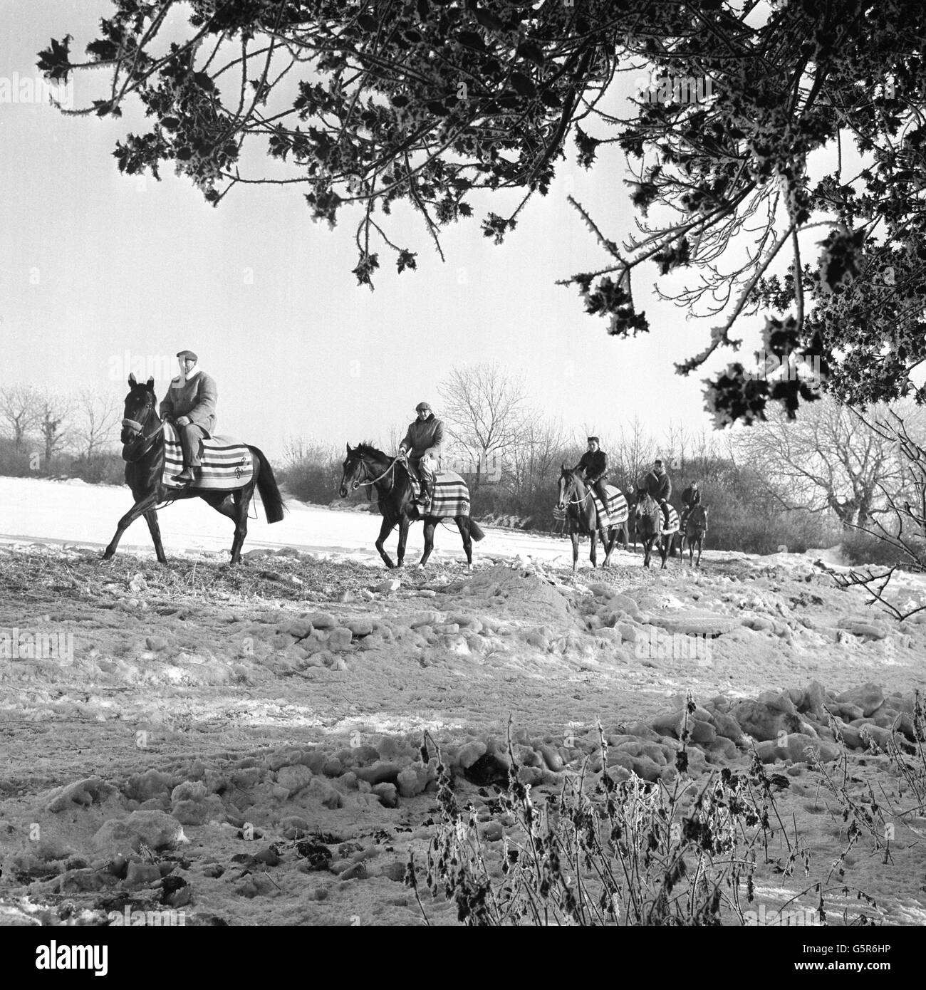 Racehorses hi-res stock photography and images - Alamy