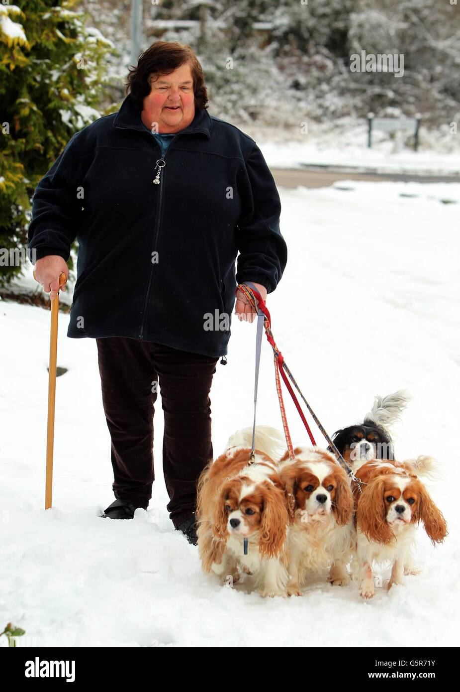 Jennifer Puttock walks her dogs in the snow ( left to right) Tilly ...