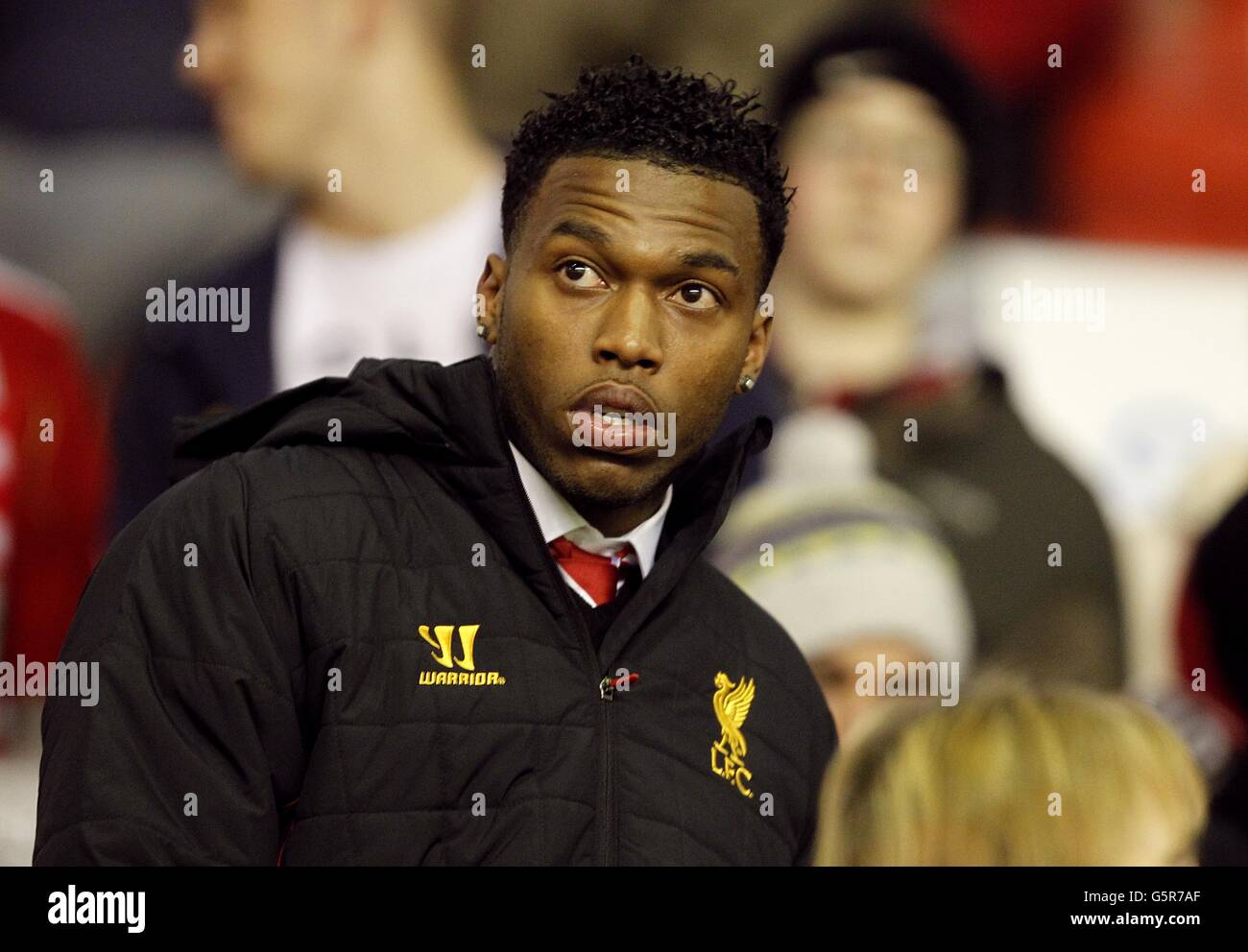 Liverpools new signing daniel sturridge in the stands hi-res stock ...