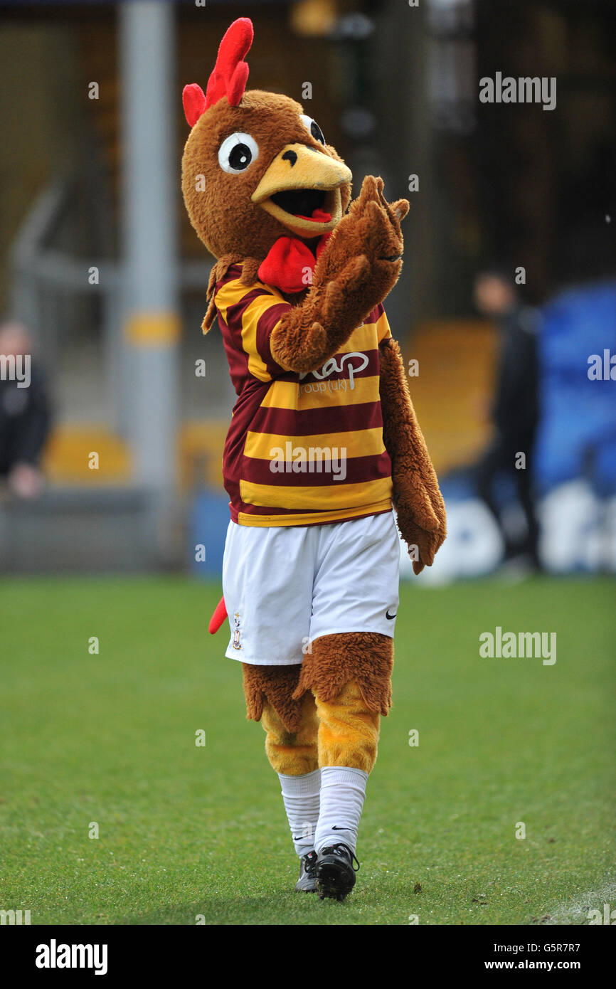 Bradford city mascot hi-res stock photography and images - Alamy