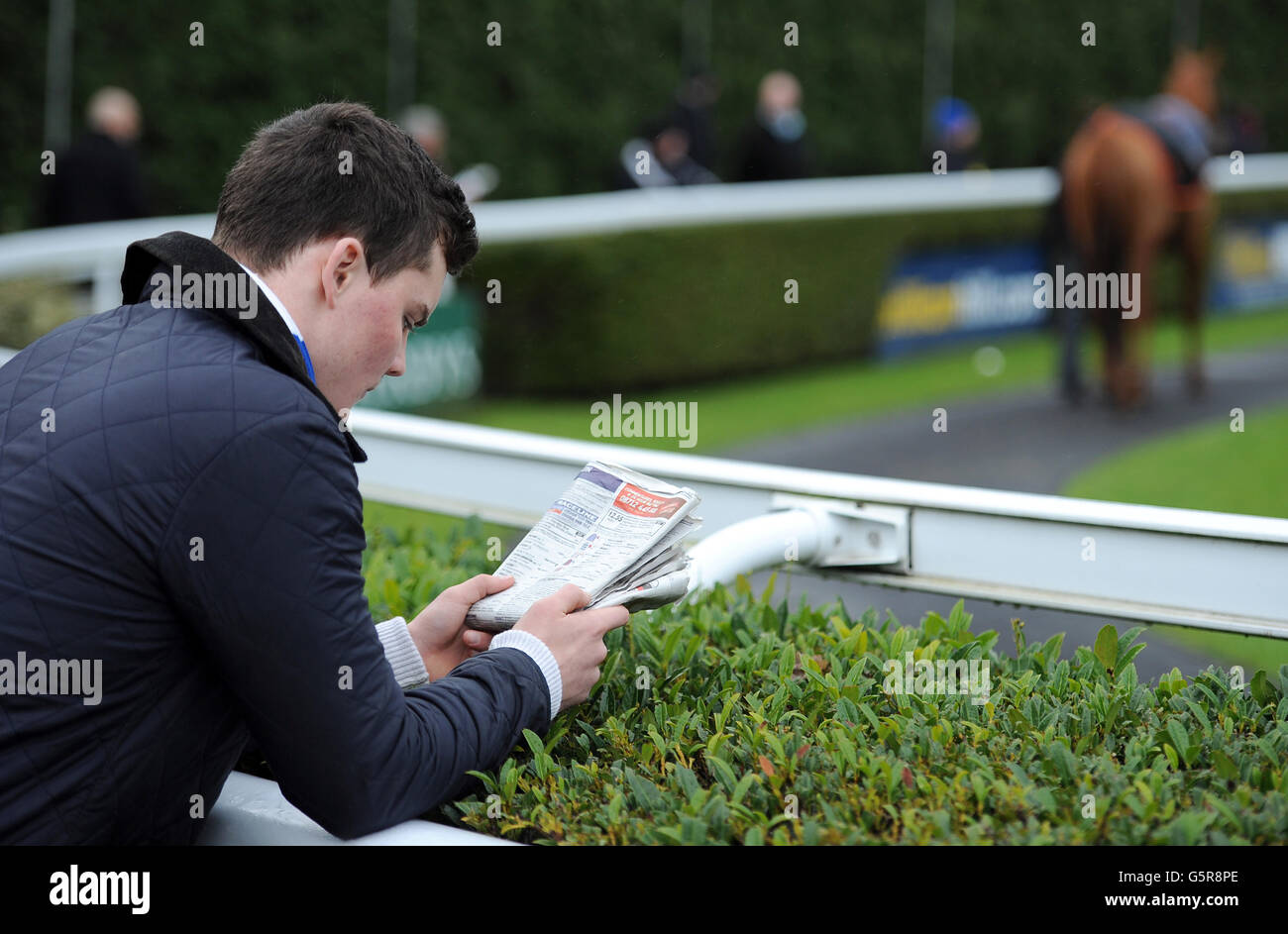 A racegoer watches horses being displayed at the pre-parade ring Stock ...