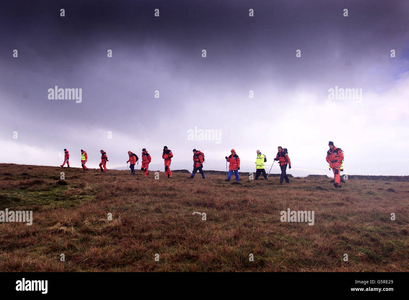 Search for Shane Collier Stock Photo - Alamy
