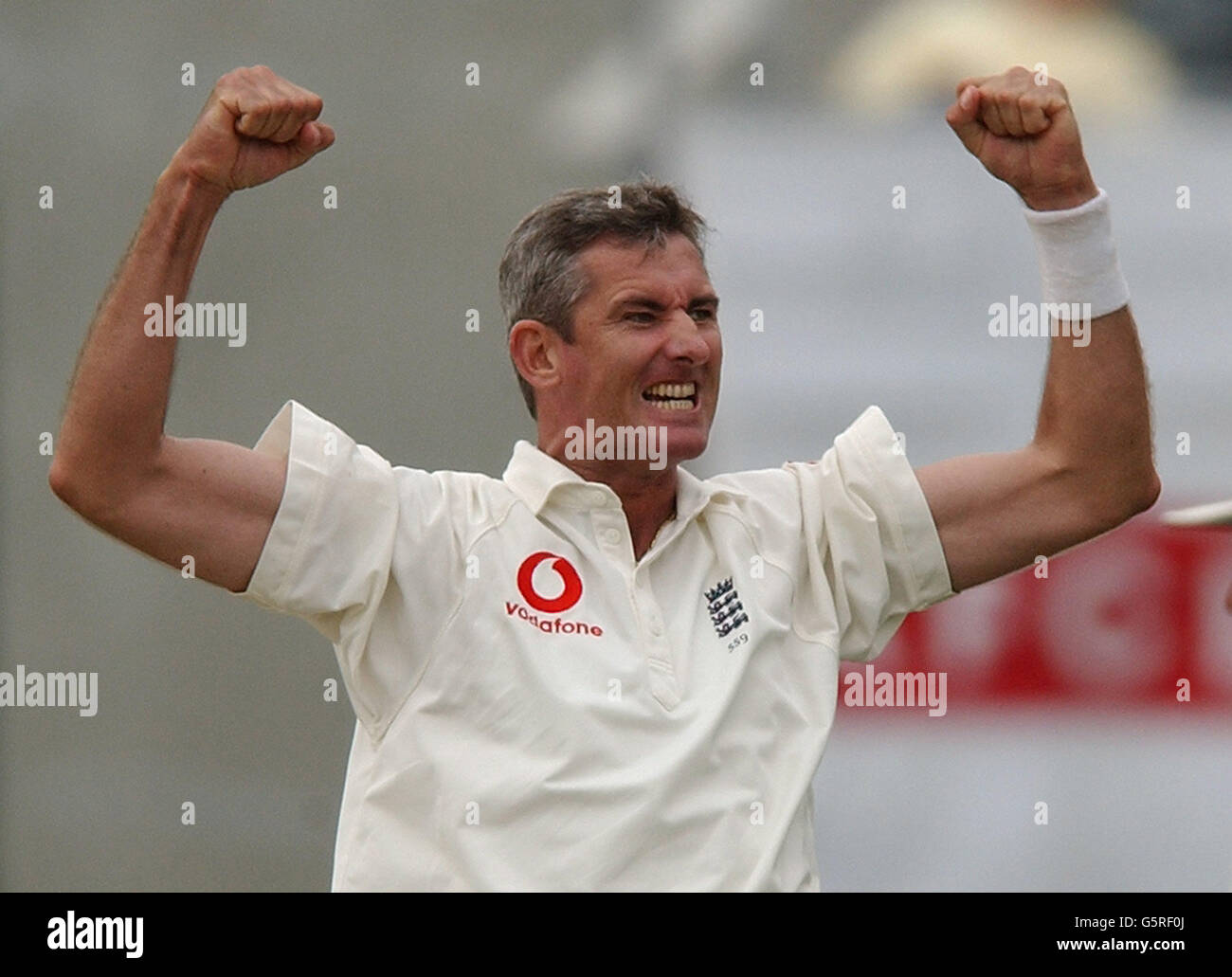 Sport cricket celebrating wicket andrew caddick hi-res stock ...