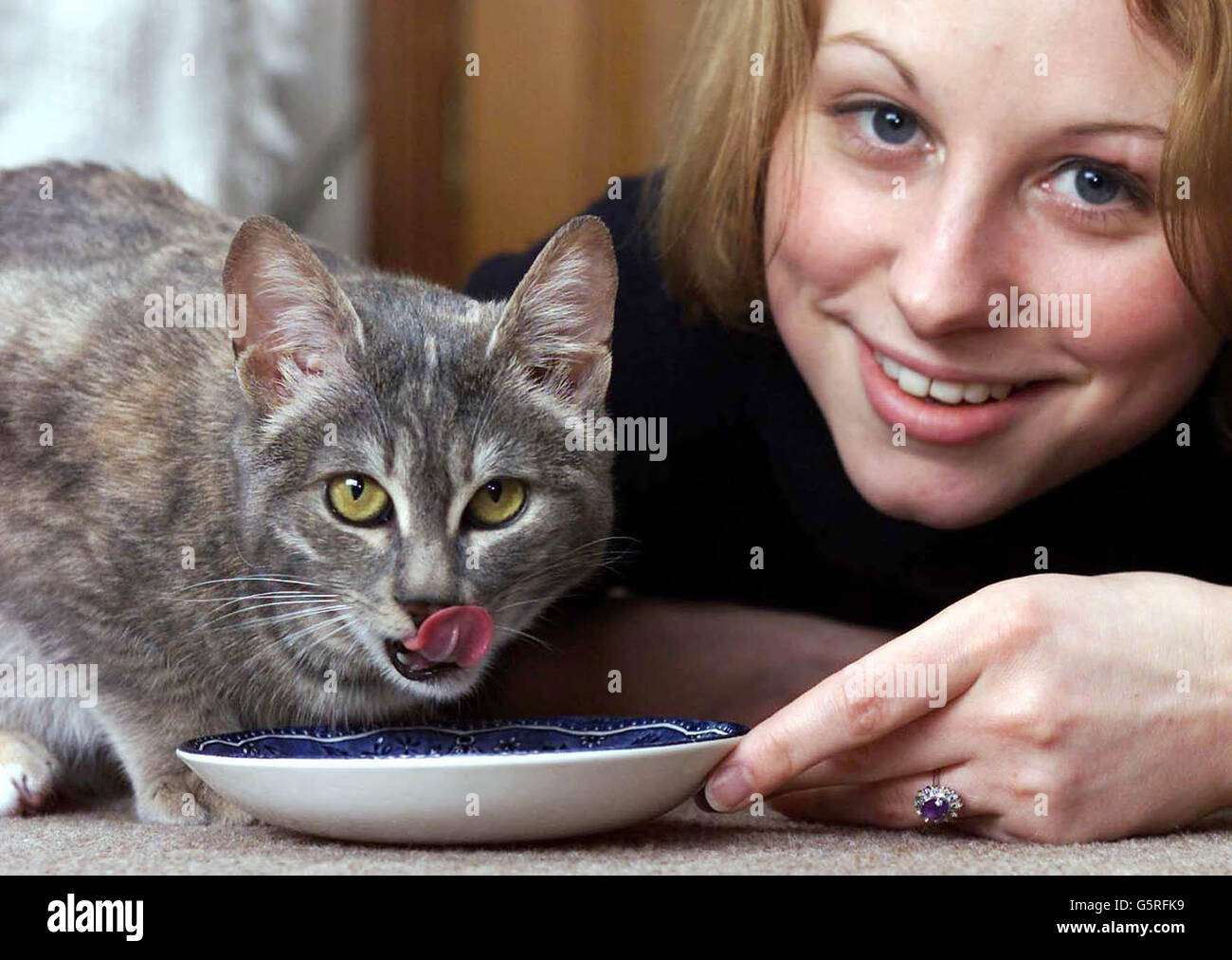 Fizzy the Cat Stock Photo - Alamy