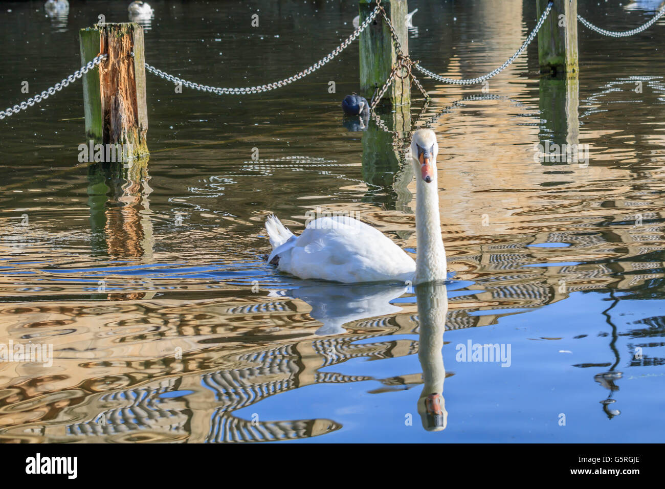Ake symbol hi-res stock photography and images - Alamy