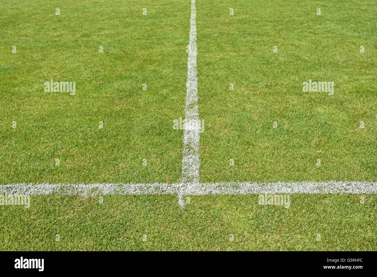 Grass and stripes of the soccer field Stock Photo - Alamy