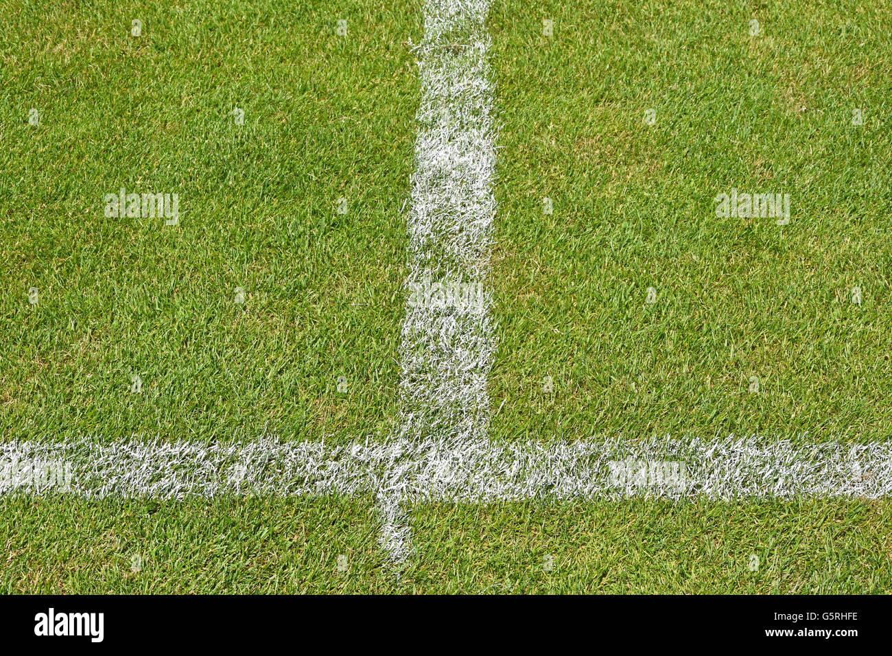 Grass and stripes of the soccer field Stock Photo - Alamy