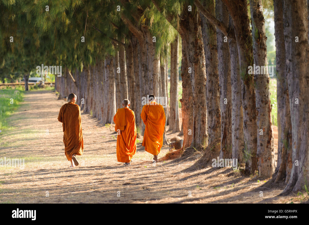 Buddhist monk hi-res stock photography and images - Alamy