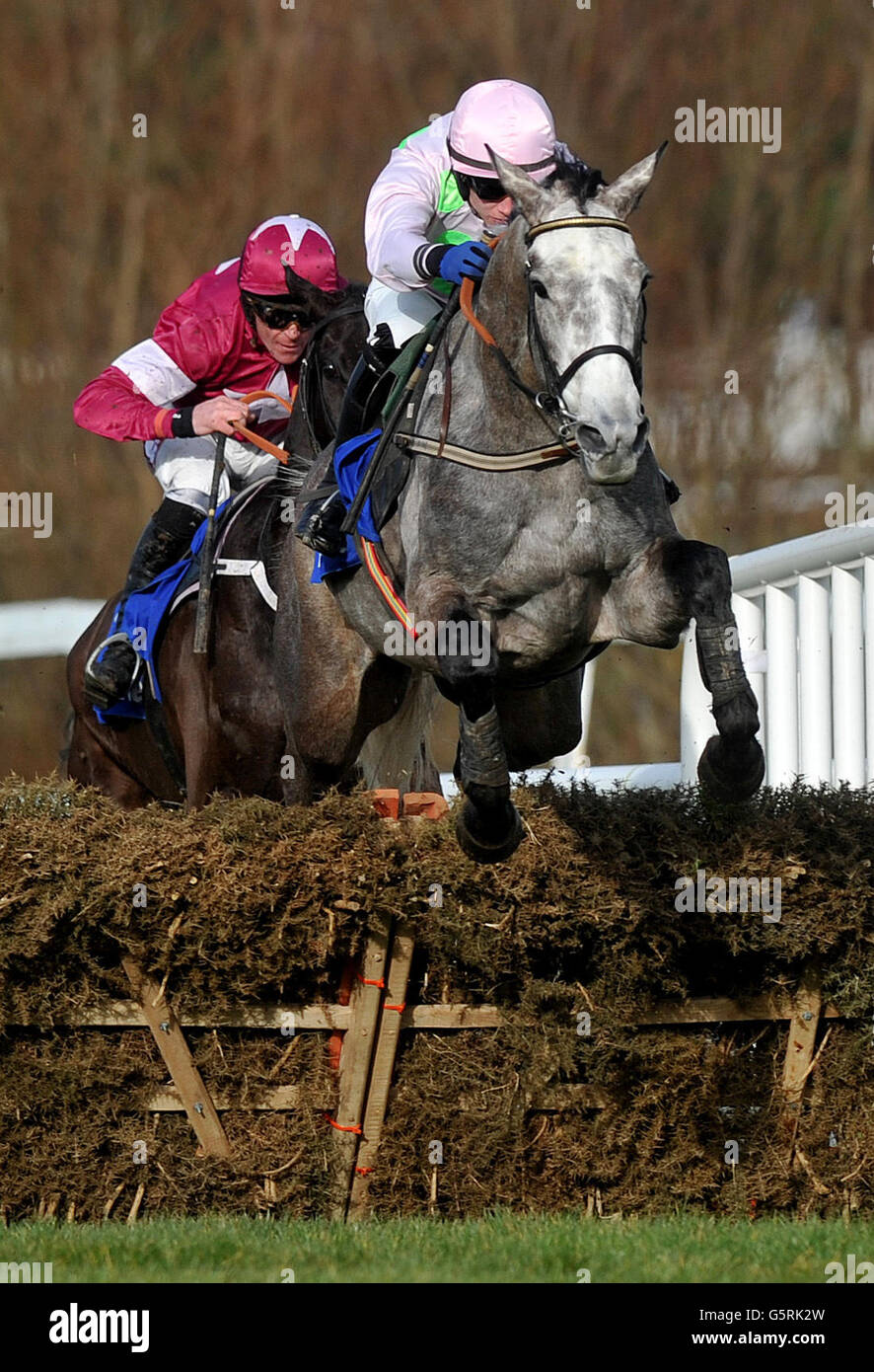 Champagne fever horse hi-res stock photography and images - Alamy