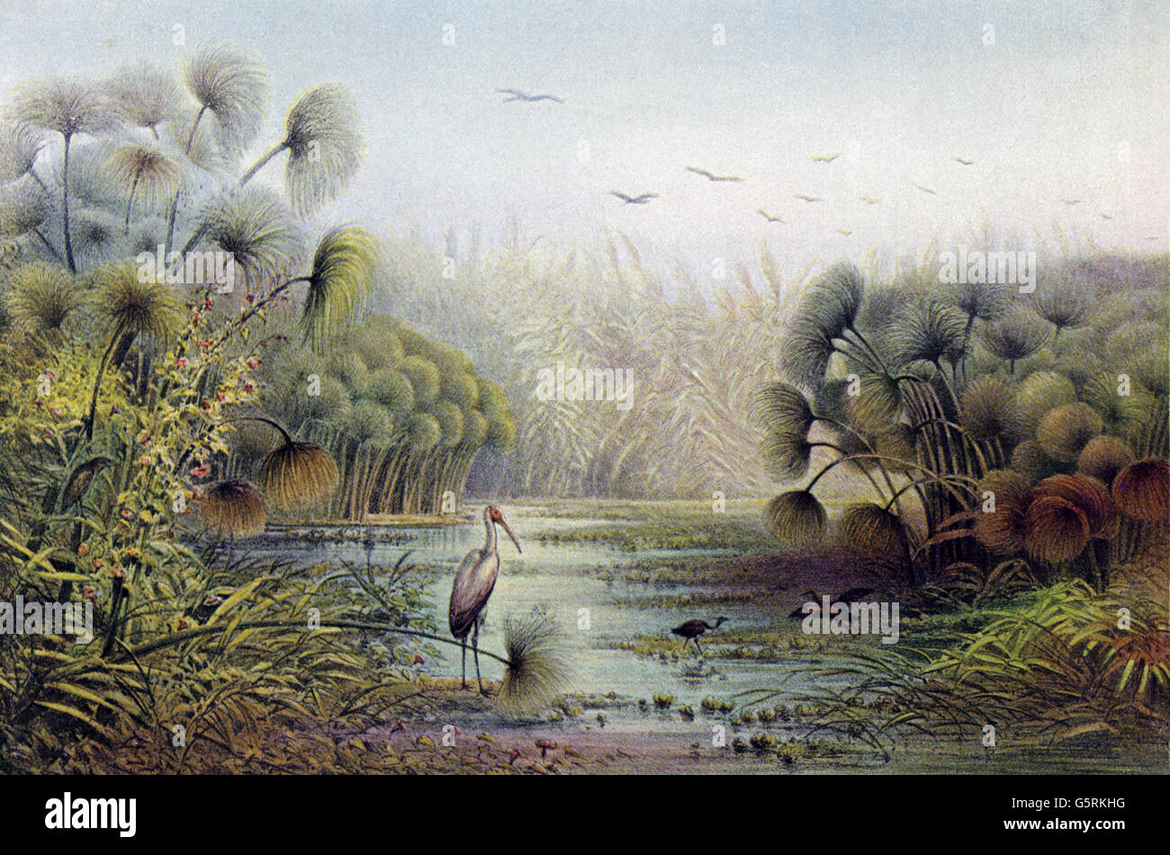 geography / travel, Egypt, landscapes, landscape on the lower Nile with ...