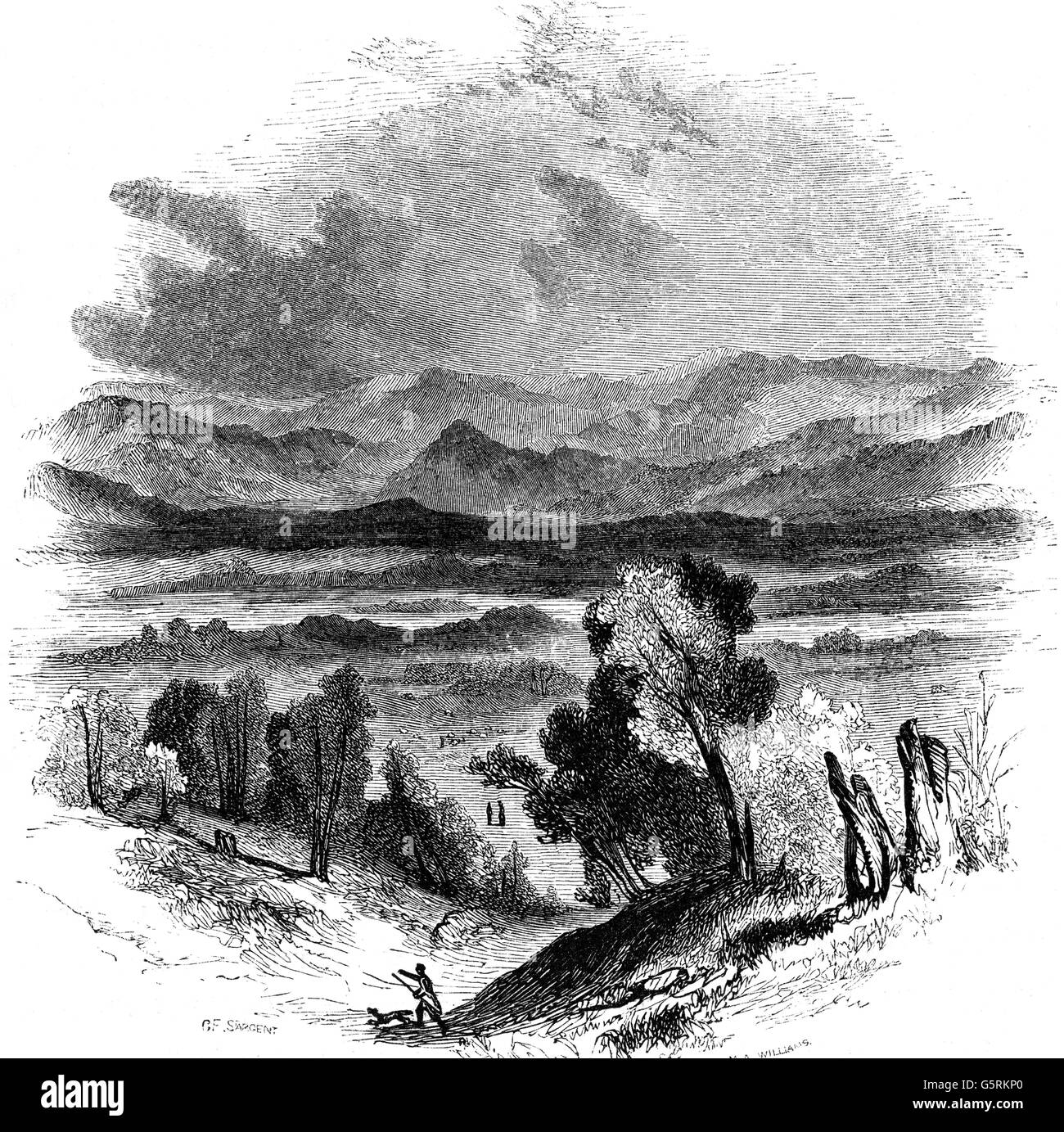 geography / travel, Greece, landscapes, plains of Olympia, view, wood ...
