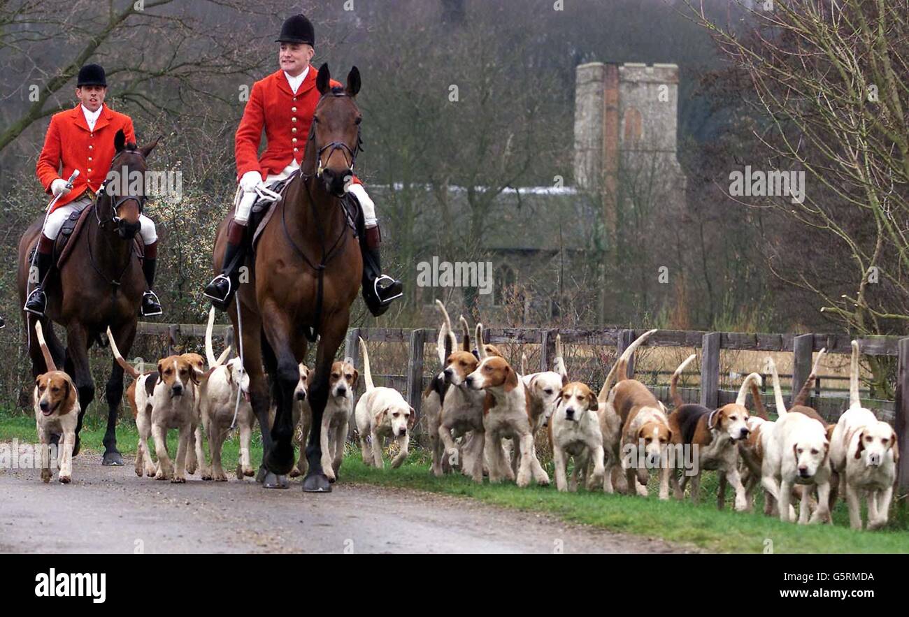 Huntsman for the essex and suffolk hunt hi-res stock photography and ...