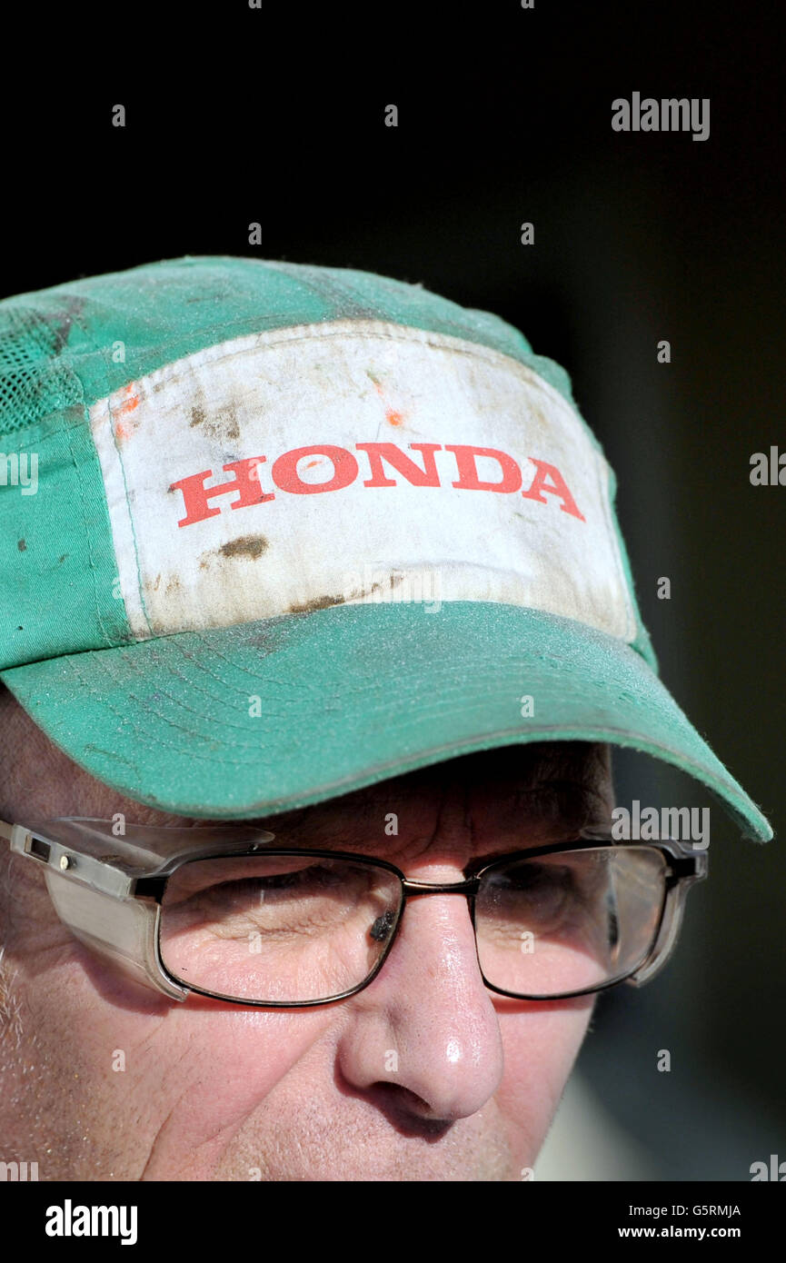 Phil the plant hi-res stock photography and images - Alamy