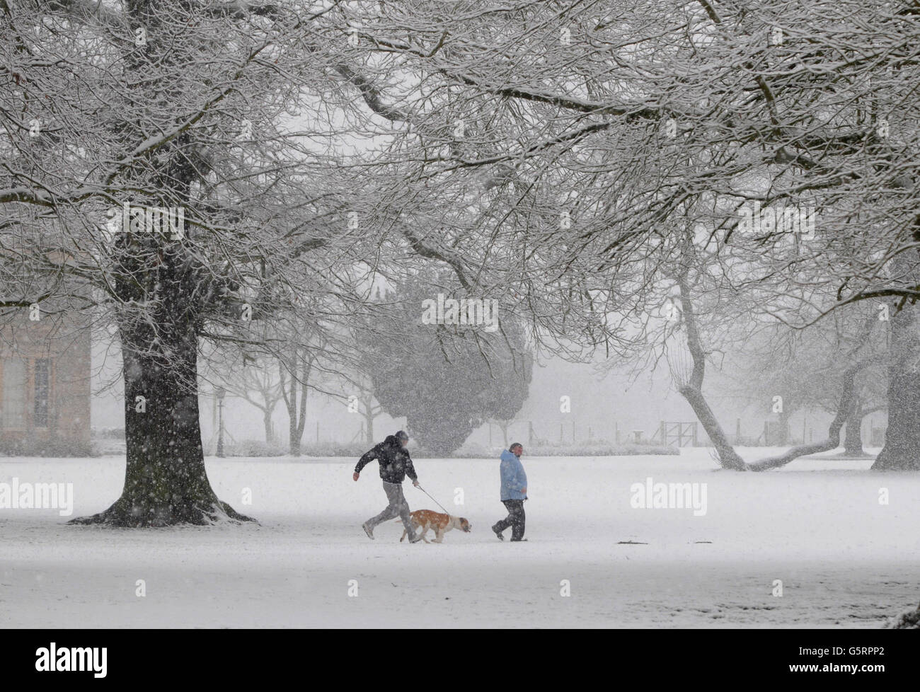 Normanby hall country park snow hi-res stock photography and images - Alamy