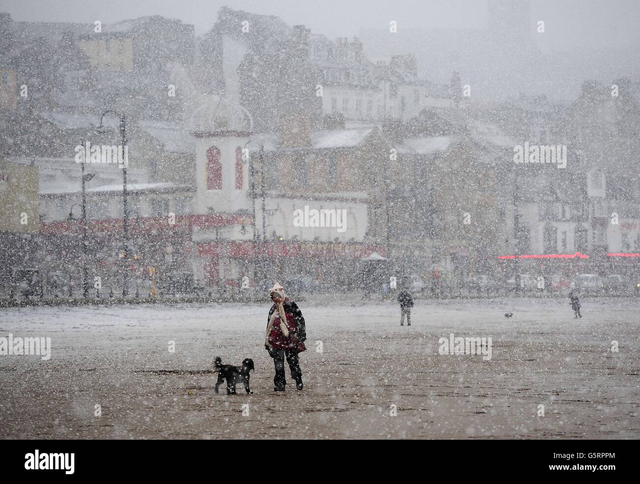 A woman walks her dog through heavy snow on Scarborough beach as snow ...