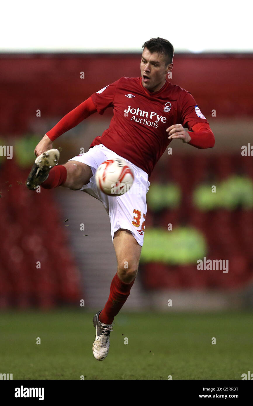 Elliott ward forest hi-res stock photography and images - Alamy