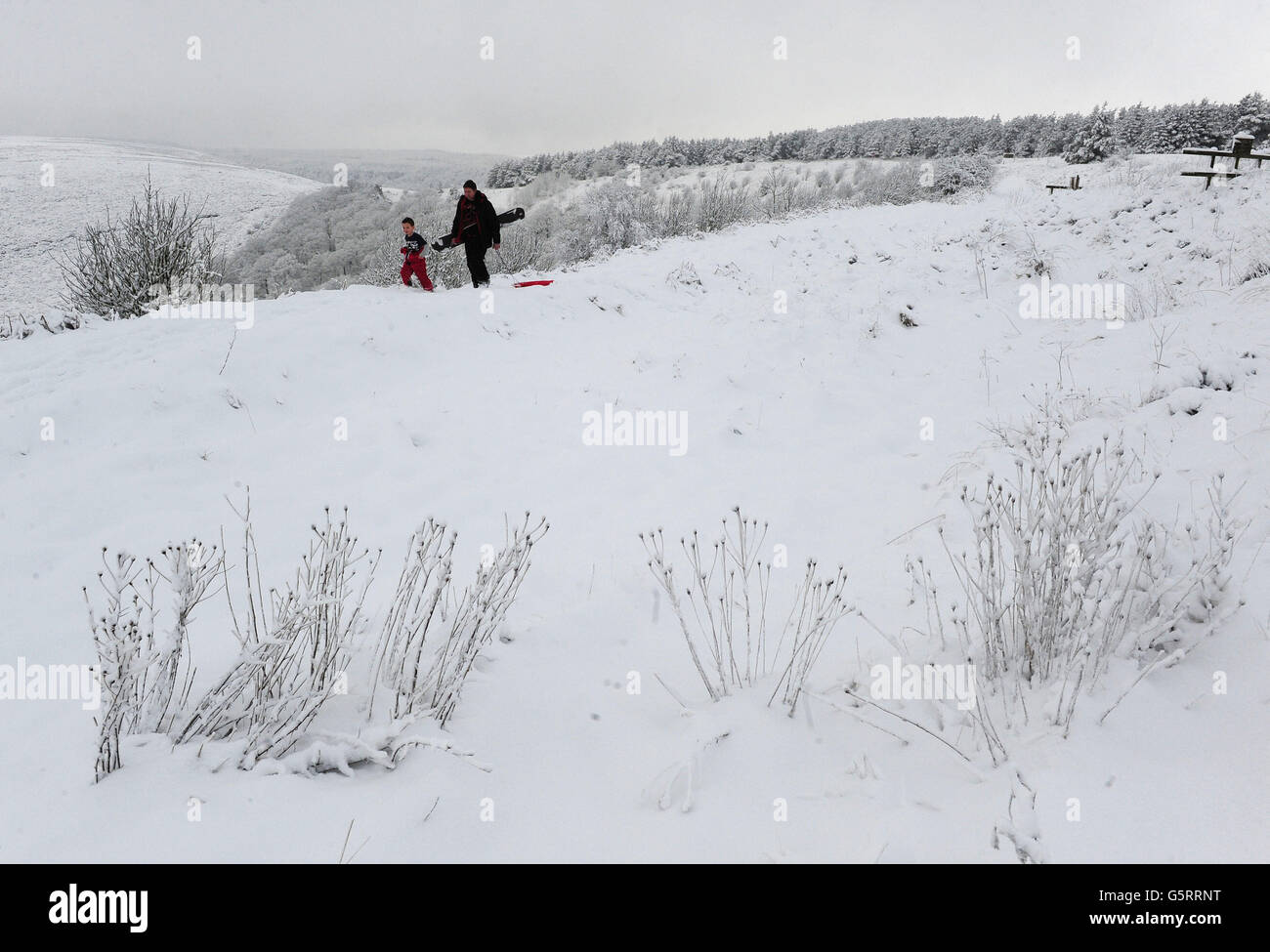 Winter weather - January 15th Stock Photo - Alamy