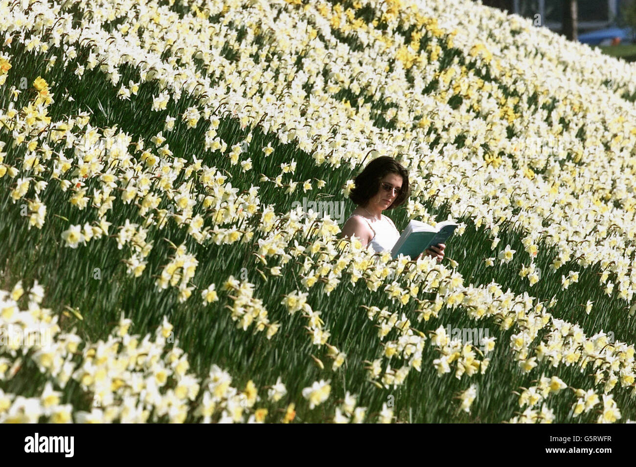 Easter2004 hi-res stock photography and images - Alamy