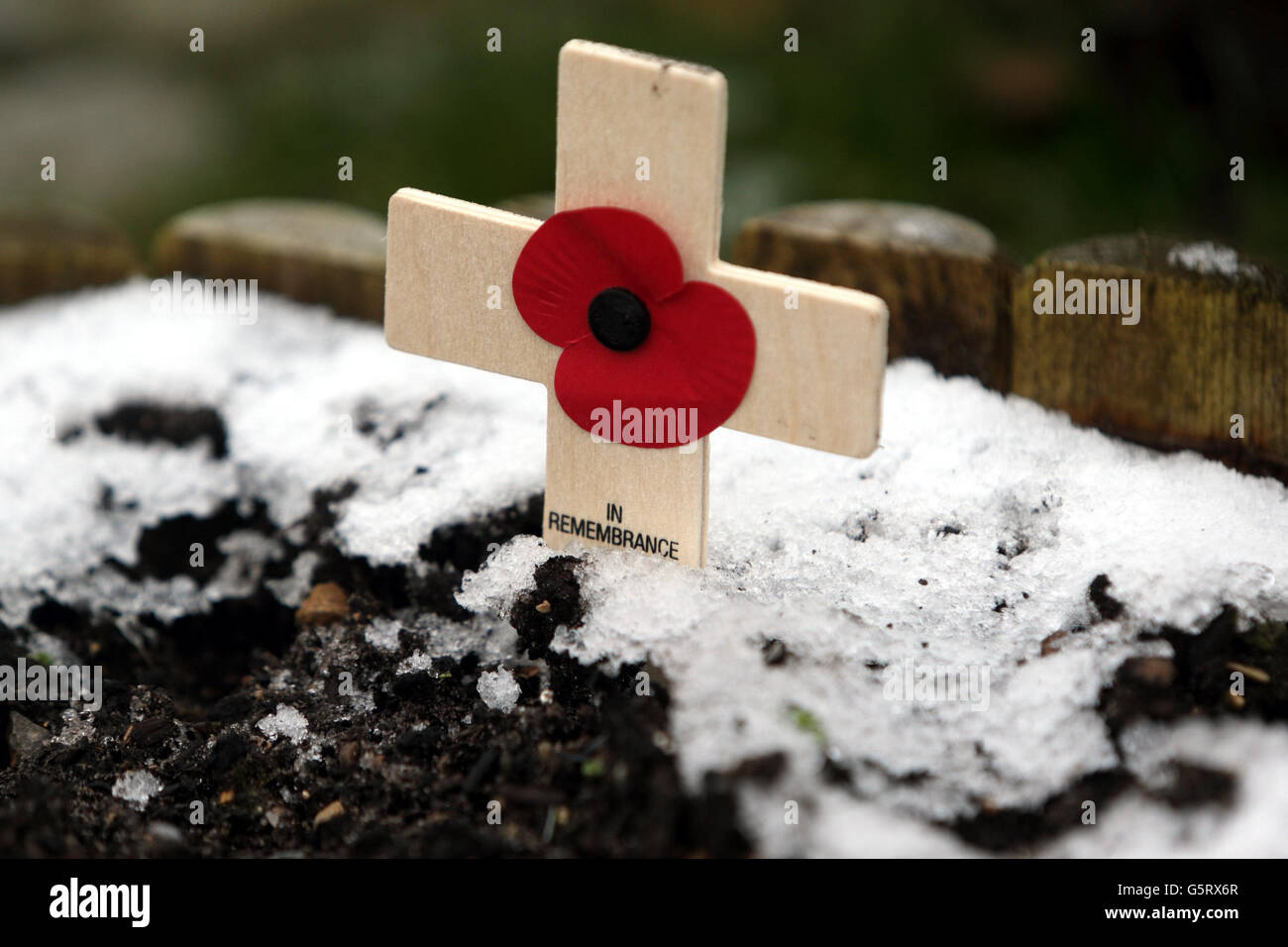 A Remembrance Cross sits in the snow at the Memorial Garden in ...
