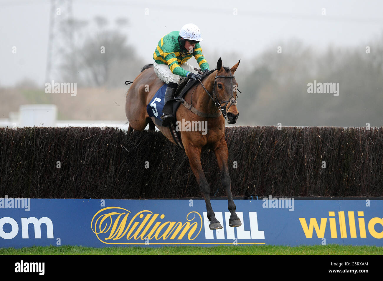 Horse Racing - Huntingdon Racecourse Stock Photo - Alamy