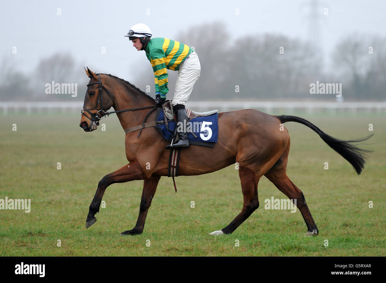 Horse Racing - Huntingdon Racecourse. It's Like That and jockey Alan ...