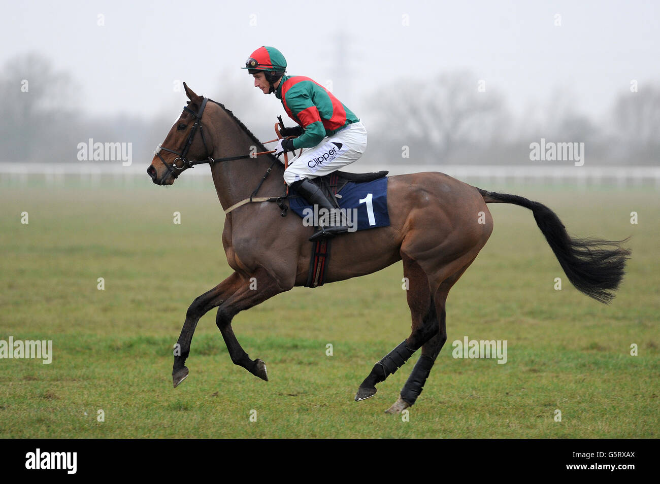Horse Racing - Huntingdon Racecourse Stock Photo - Alamy