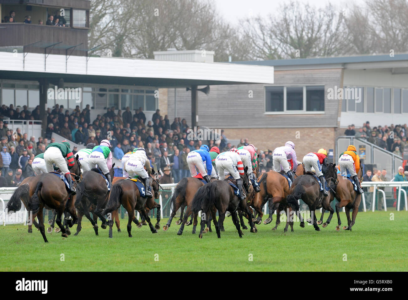 Horseracing horses races general view gv gspo rear view hi-res stock ...
