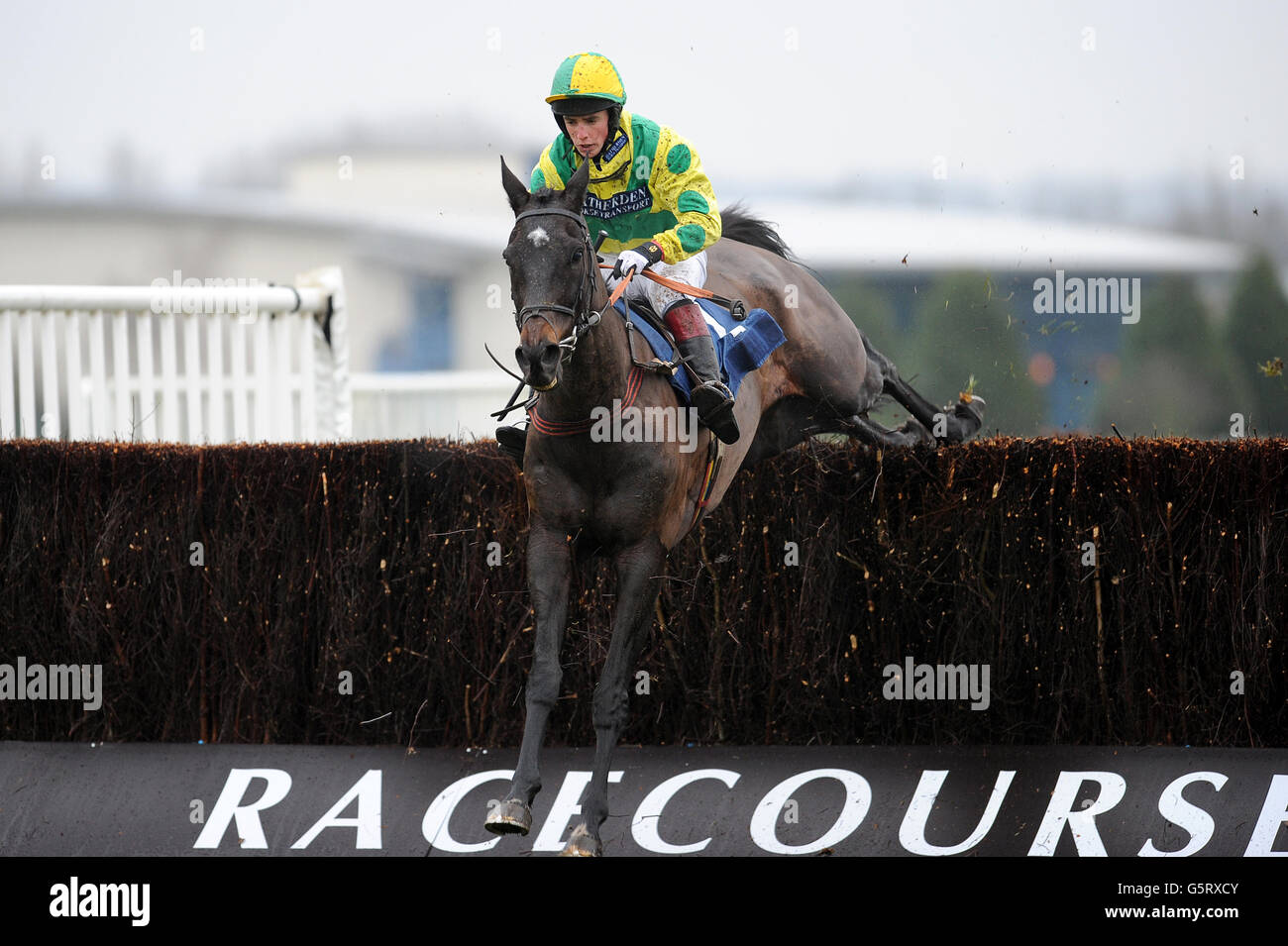 Horse Racing - Newbury Racecourse Stock Photo - Alamy