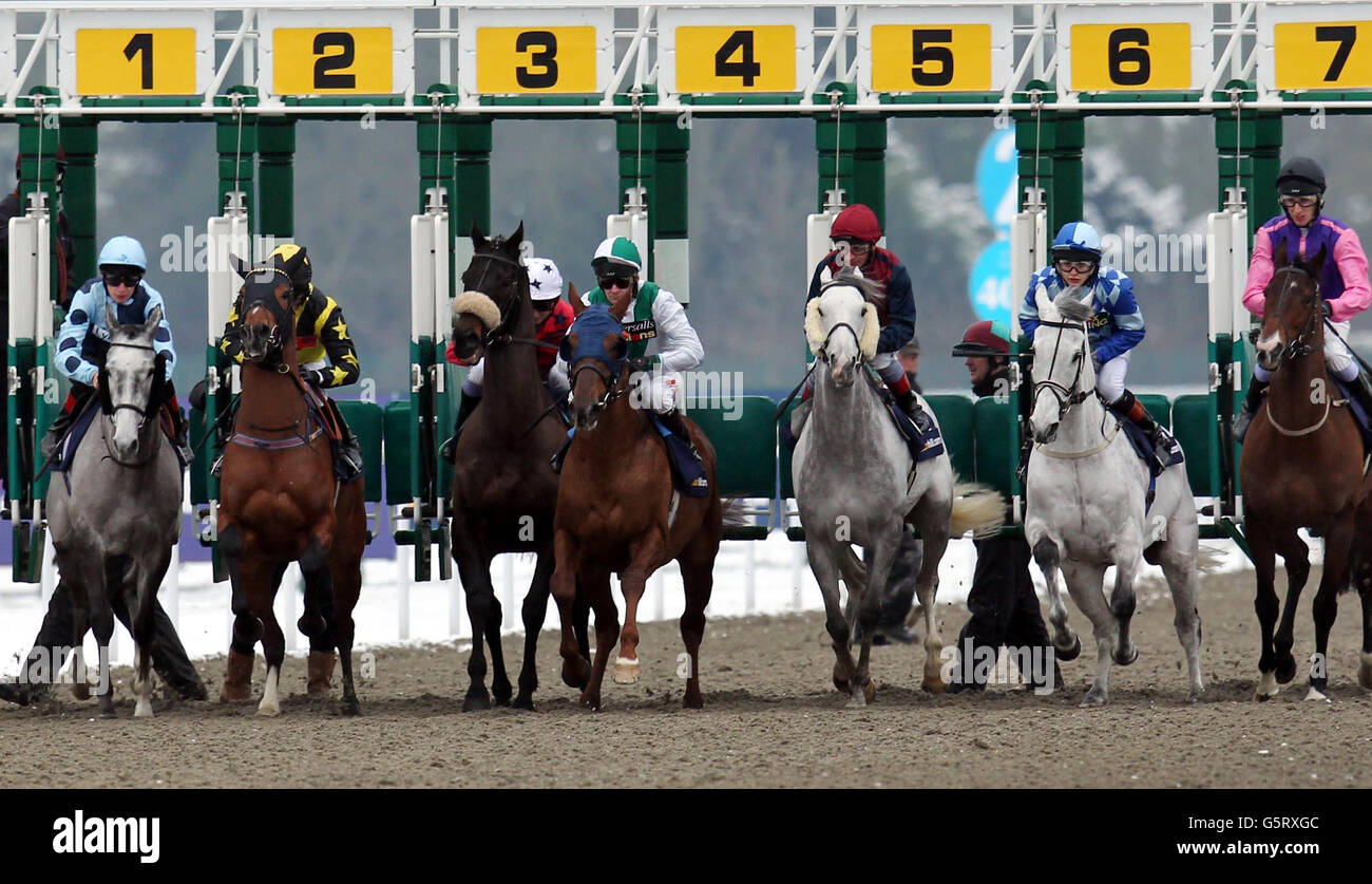 Horse Racing - Kempton Park Racecourse Stock Photo - Alamy
