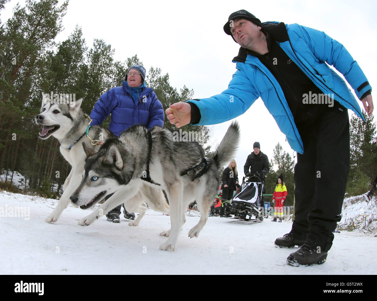 Huskies during training in the forests near Feshiebridge for the 30th ...