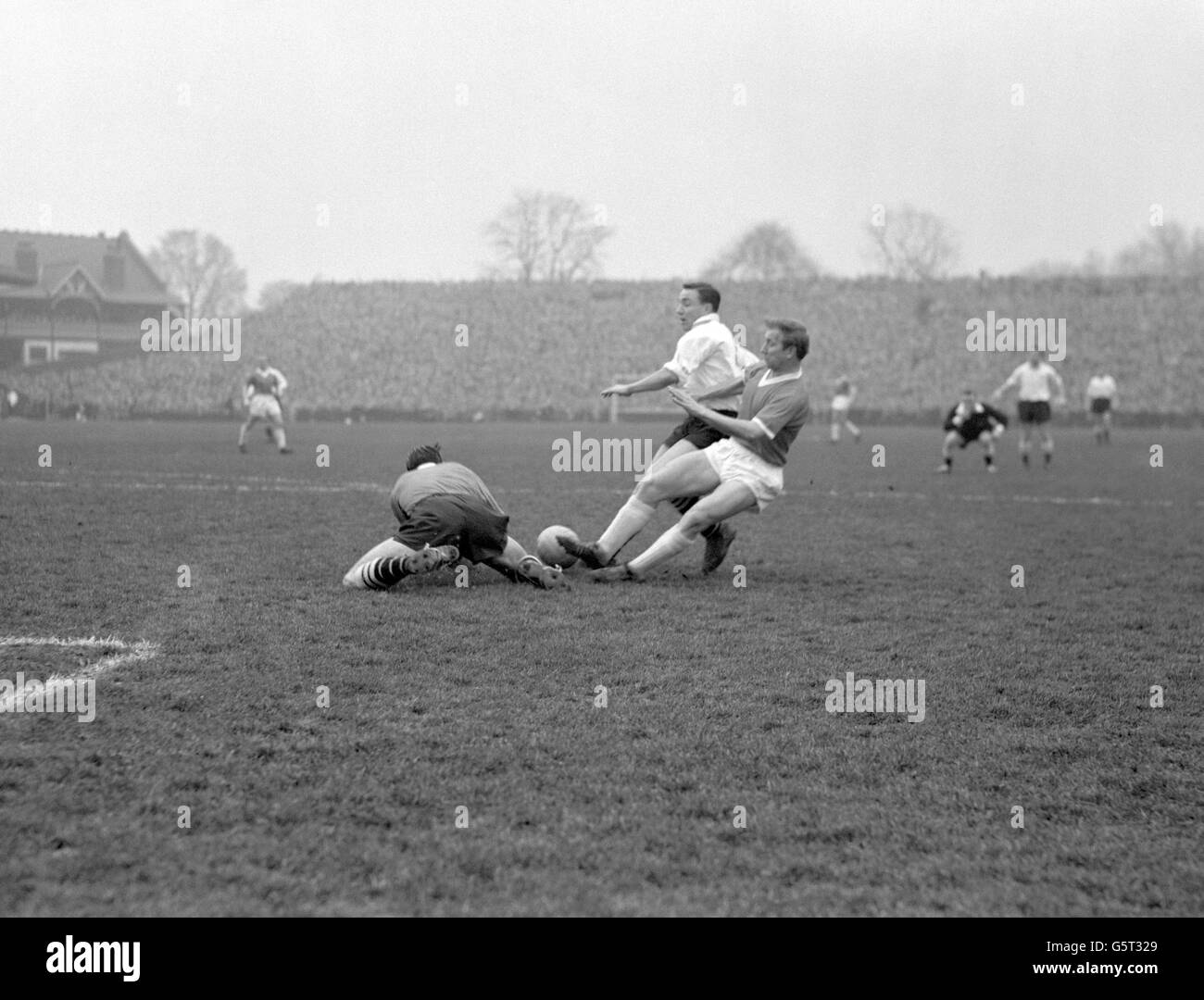 Goalkeeper tony macedo hi-res stock photography and images - Alamy