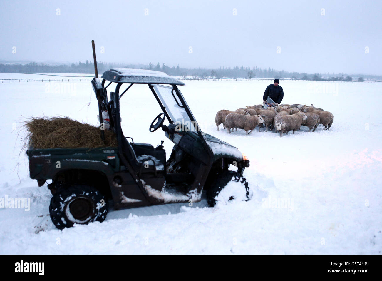 Farmer Paul Rattray from Westpark farm near Auchterarder puts sillage ...