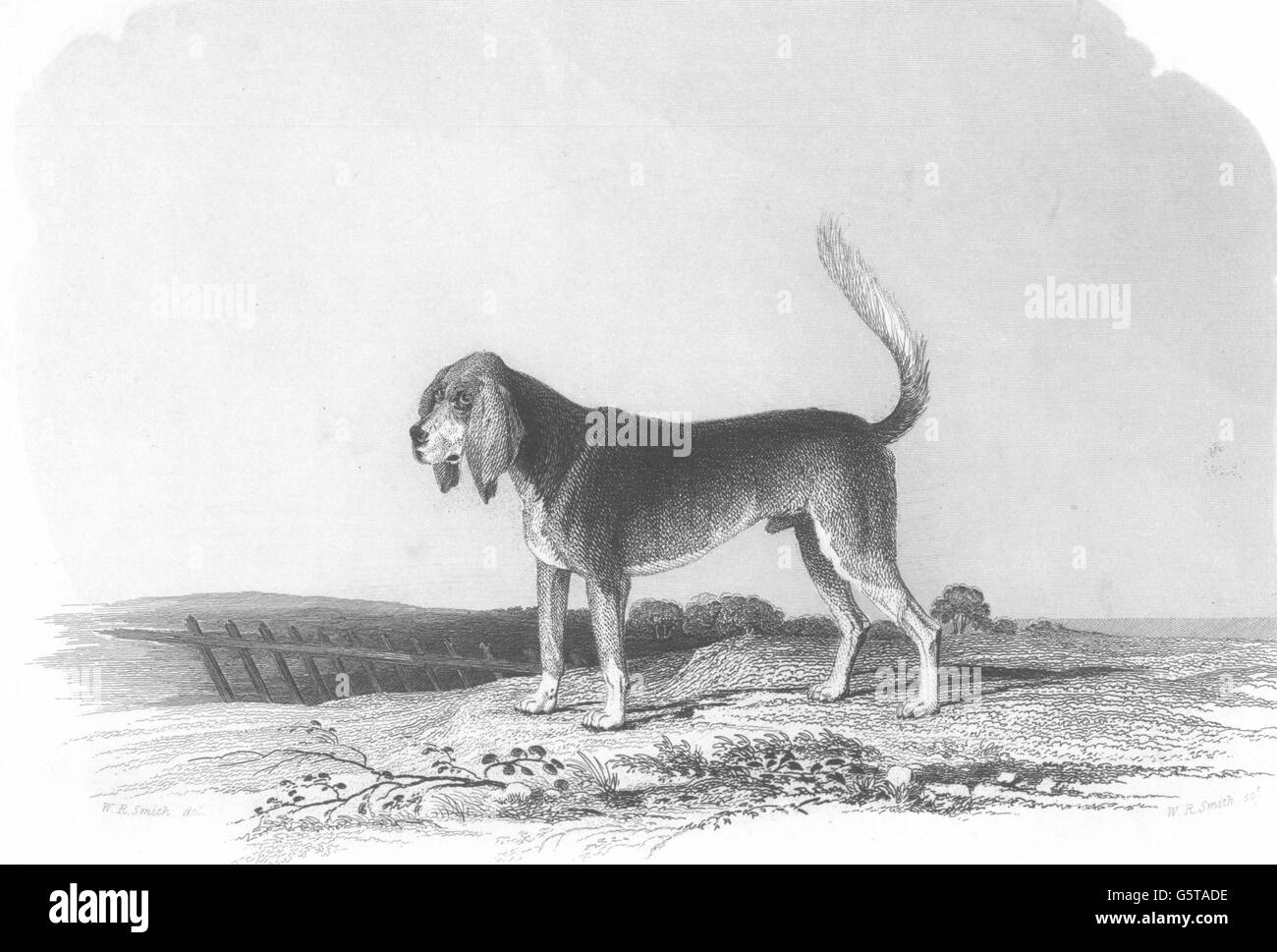 Jesse Smith Drawings