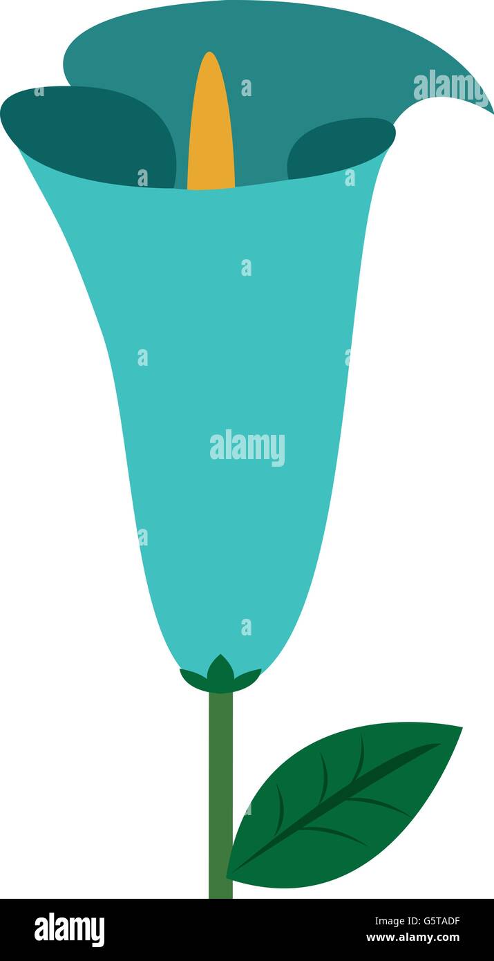 calla lilly flower icon Stock Vector Image & Art - Alamy