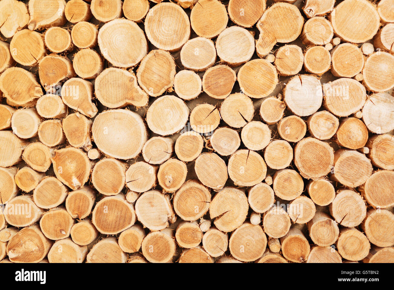 Wooden log texture Stock Photo - Alamy