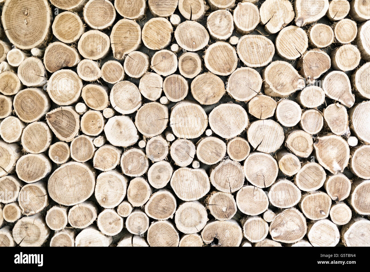 Log texture hi-res stock photography and images - Alamy